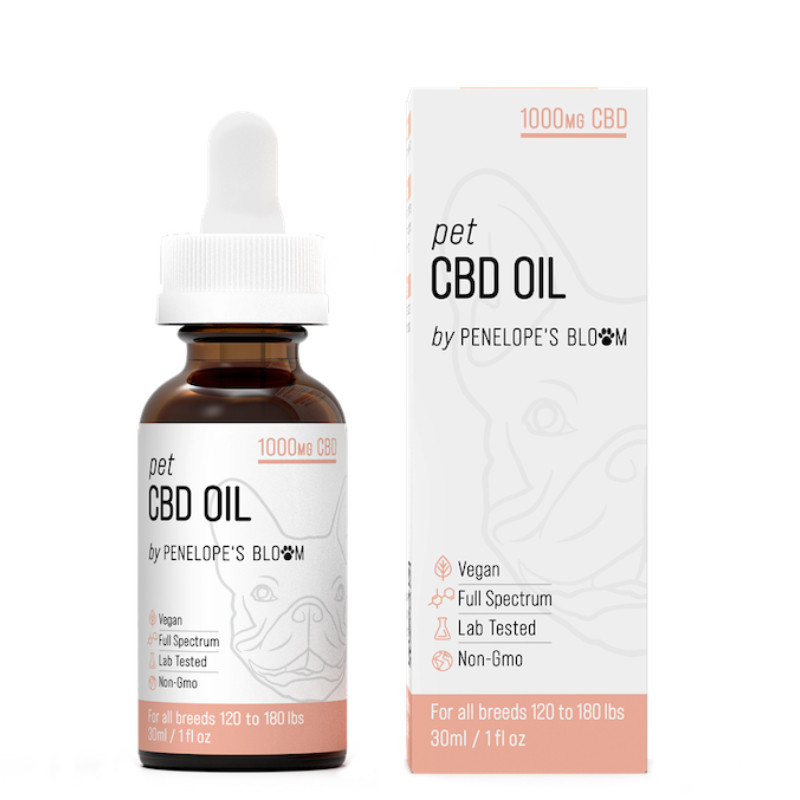 Buy Full Spectrum CBD Oil For Dogs - Penelope's Bloom Online - Destino ...